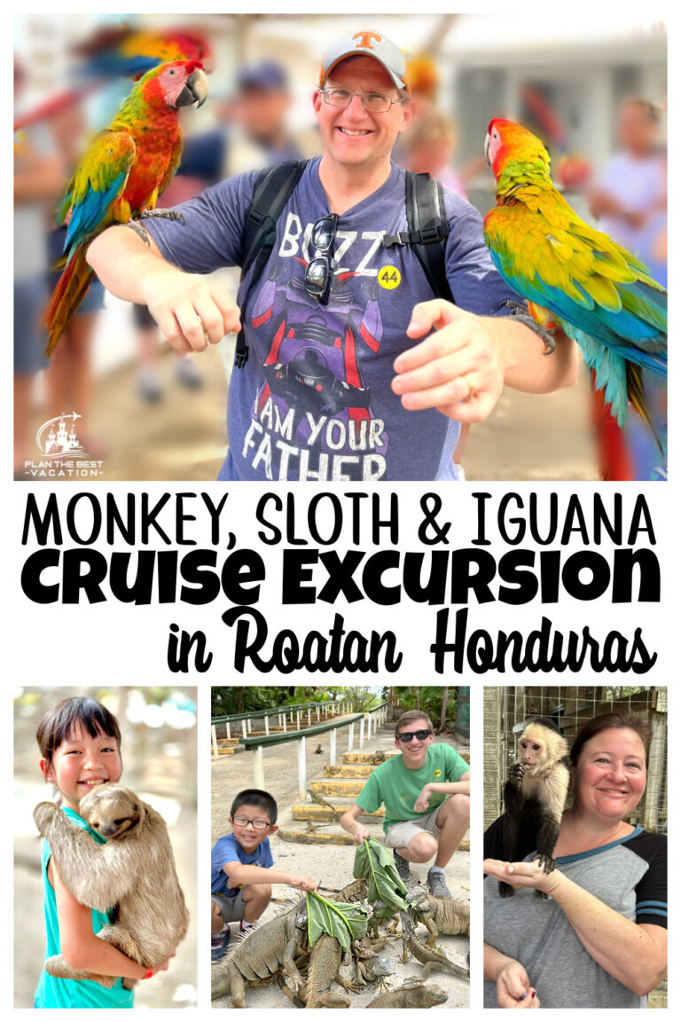 Monkey Sloth and Iguana Interaction - Crusie Port Excursion in Roatan ...