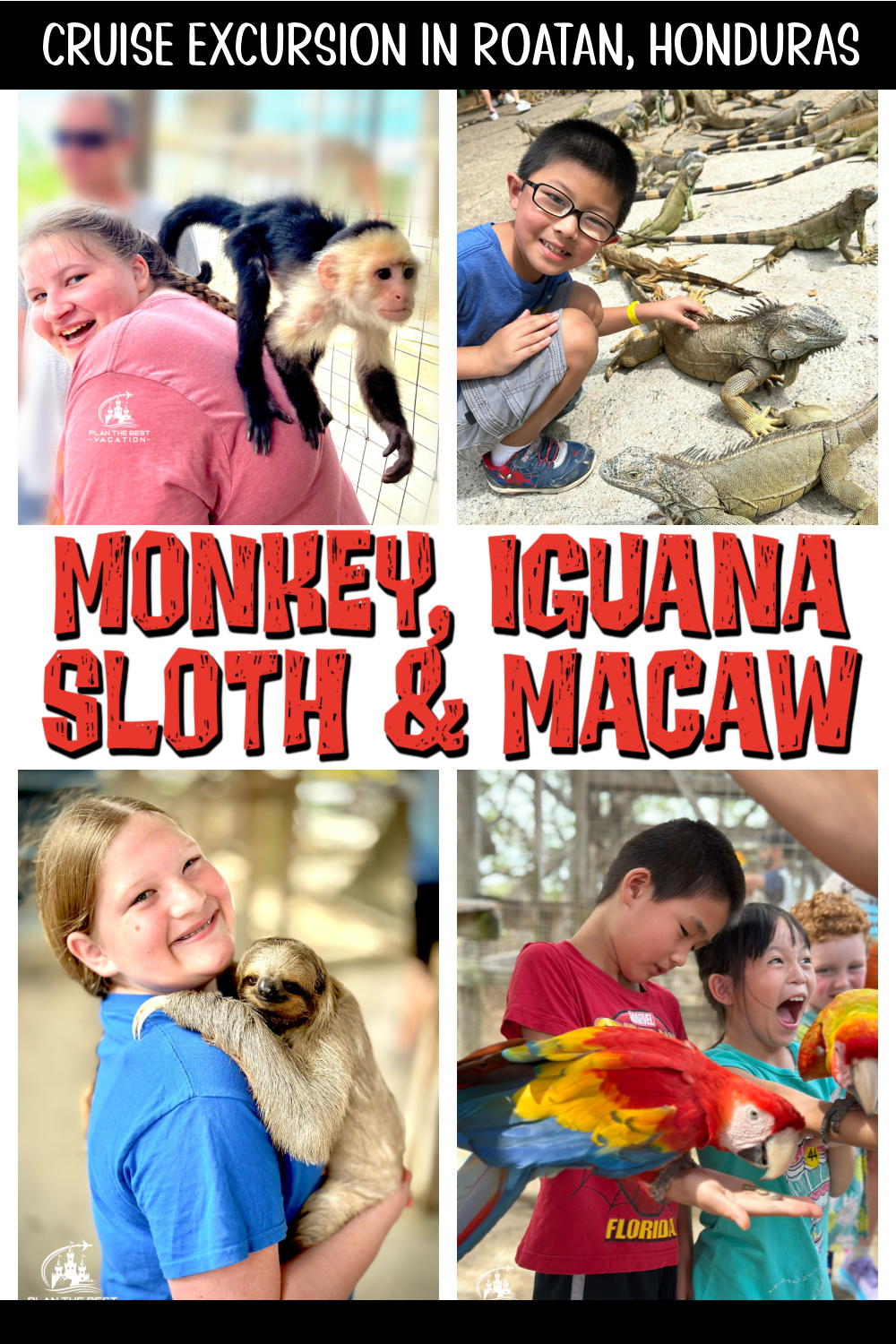 Monkey Sloth and Iguana Interaction - Crusie Port Excursion in Roatan ...