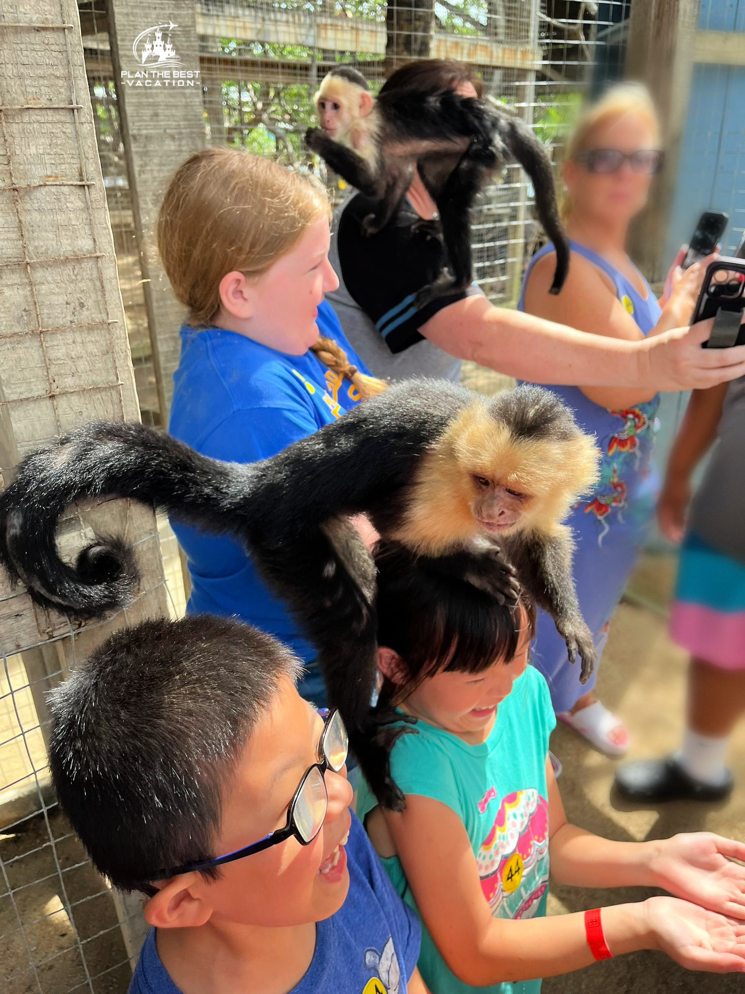 Monkey Sloth and Iguana Interaction - Crusie Port Excursion in Roatan ...