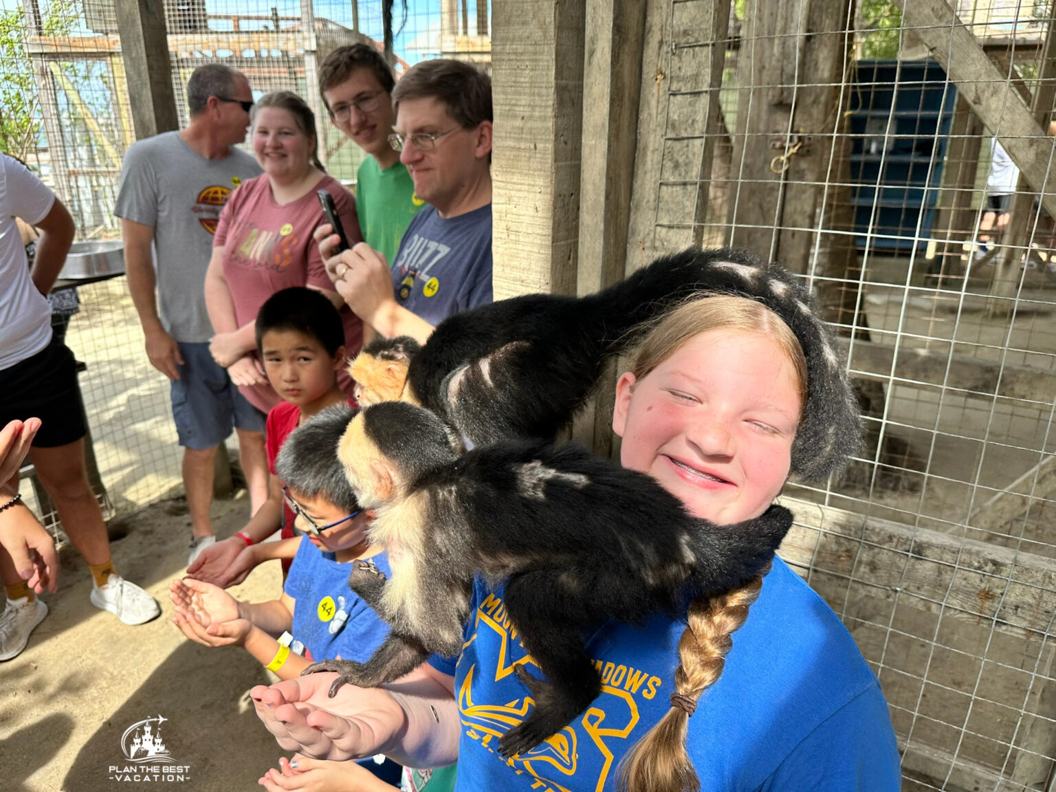 Monkey Sloth and Iguana Interaction - Crusie Port Excursion in Roatan ...
